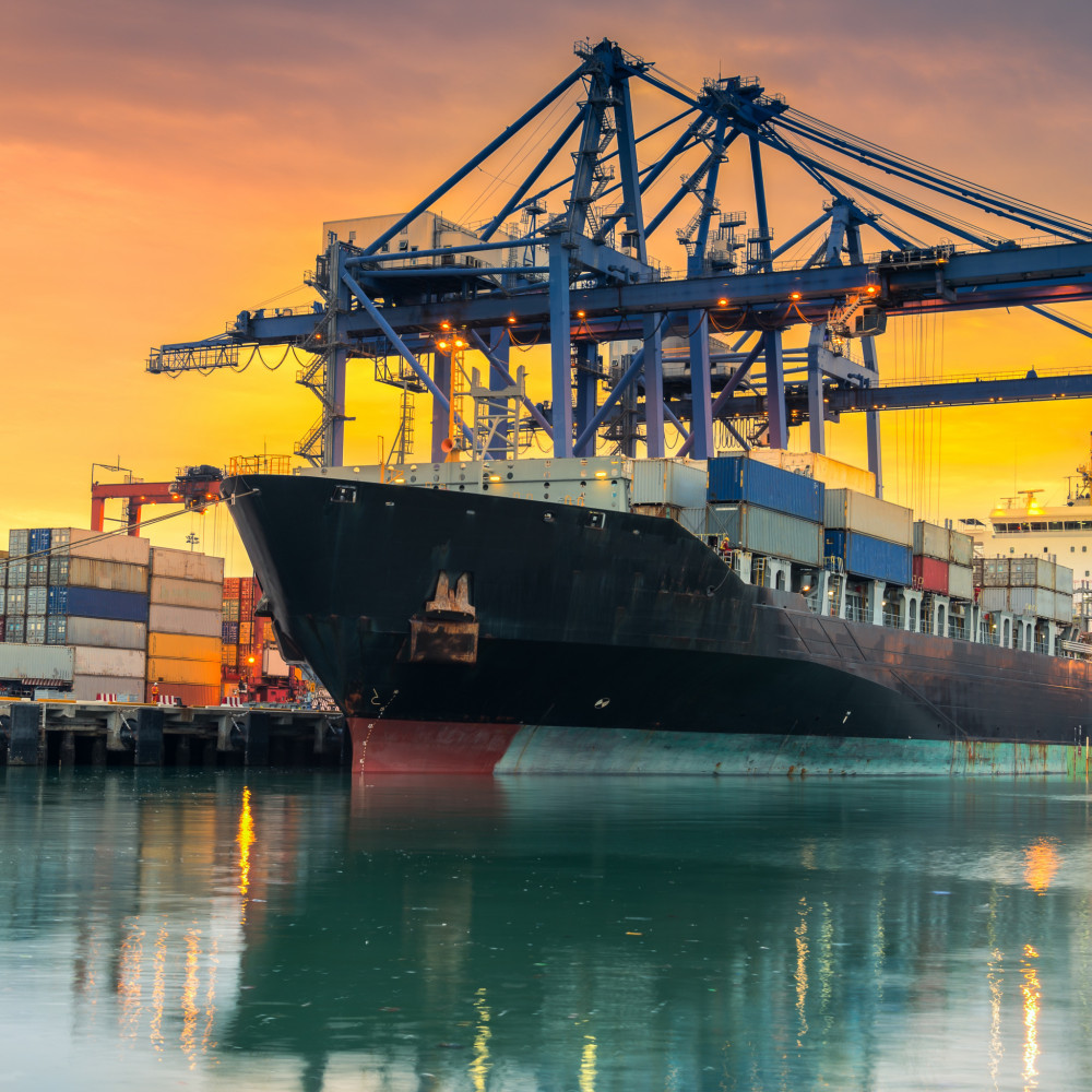 YagtyYol- Ýagty Ýol